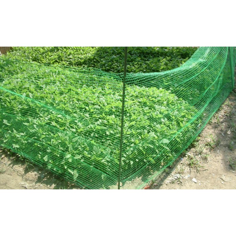 FILET DE PROTECTION CONTRE LES ANIMAUX 1X10M - MACXI