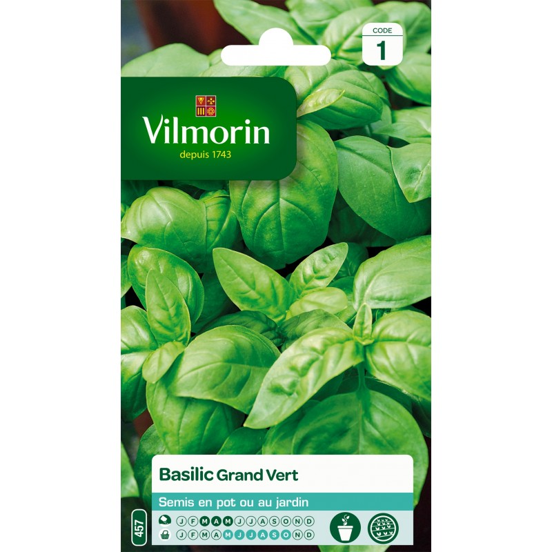 BASILIC GRAND VERT - VILMORIN